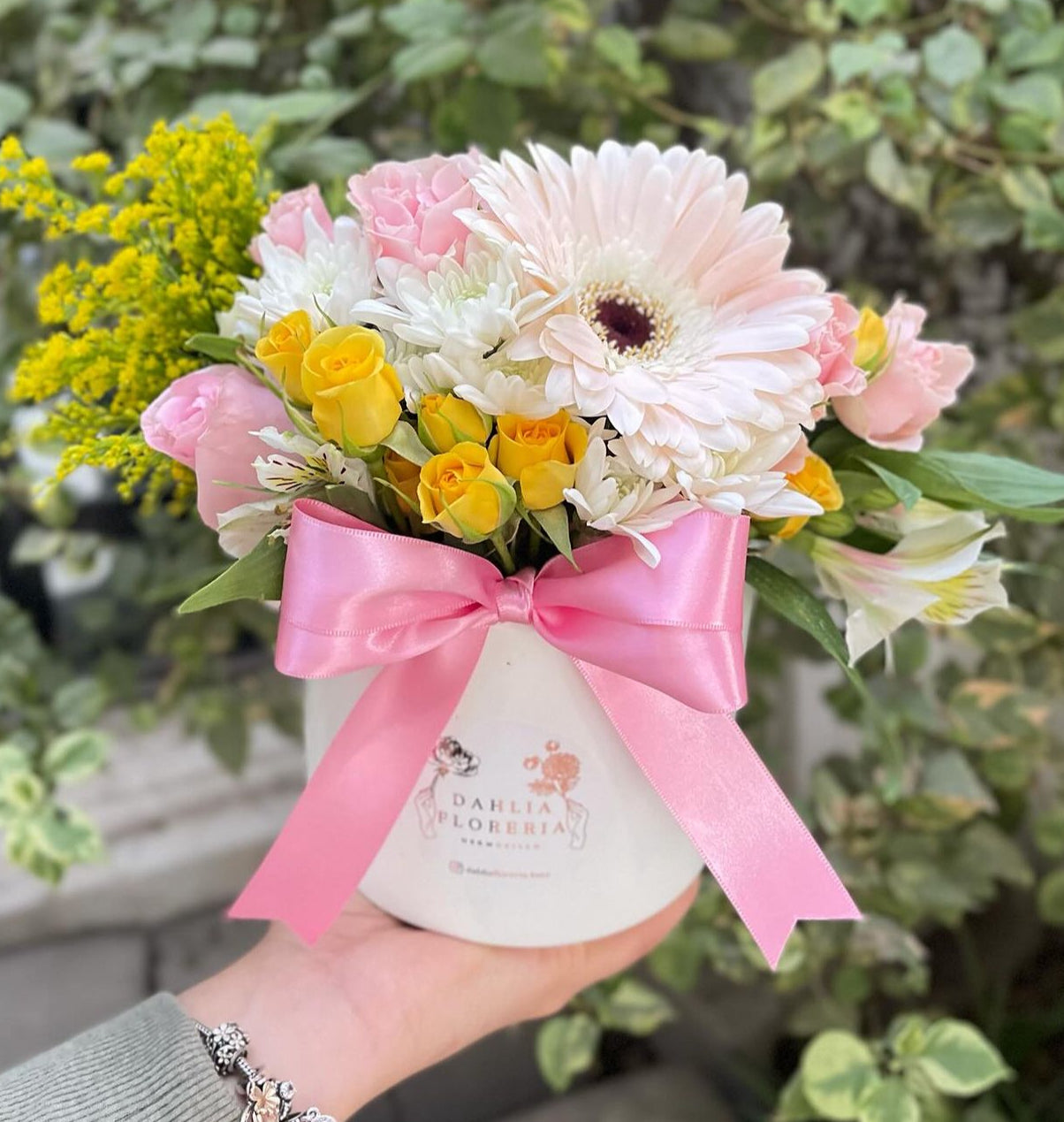 Belen – Dahlia Florería Hermosillo